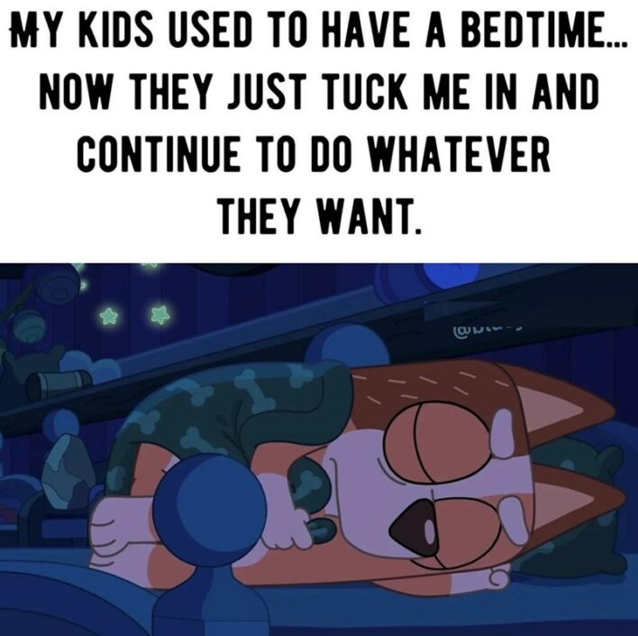 40+ Funny "Bluey" Memes Parents Will Feel In Their Bones