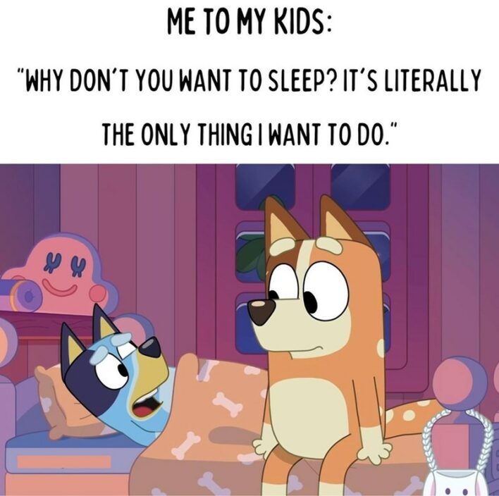 40+ Funny "Bluey" Memes Parents Will Feel In Their Bones