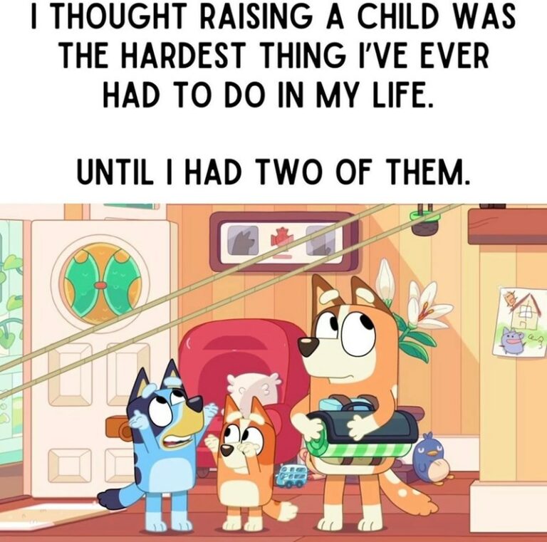 40+ Funny "Bluey" Memes Parents Will Feel In Their Bones