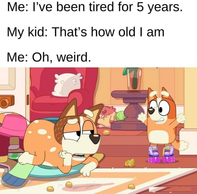 40+ Funny "Bluey" Memes Parents Will Feel In Their Bones