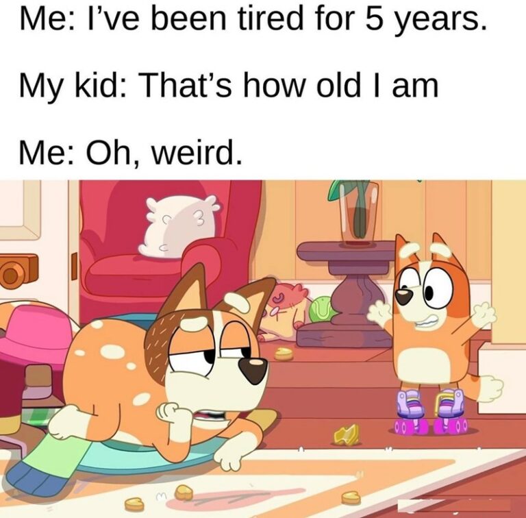 40+ Funny "Bluey" Memes Parents Will Feel In Their Bones