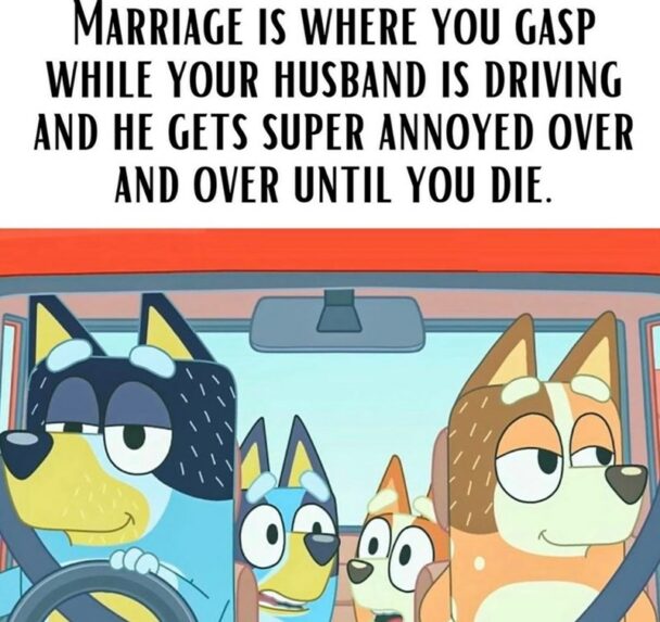 40+ Funny "Bluey" Memes Parents Will Feel In Their Bones