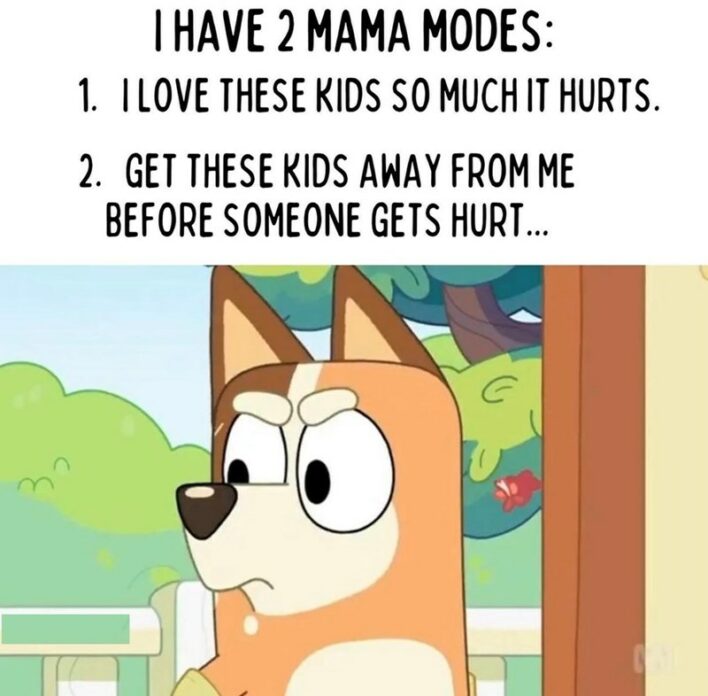 40+ Funny "Bluey" Memes Parents Will Feel In Their Bones