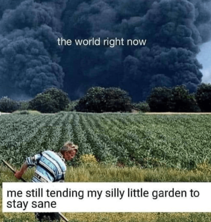 30+ Funny, But Dark Climate Memes For Anyone Experiencing The Brutal ...