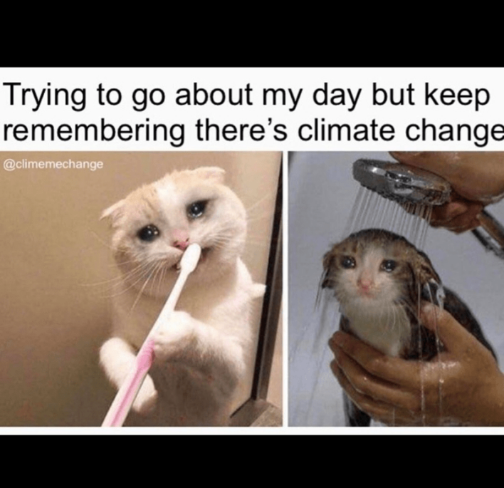 30+ Funny, But Dark Climate Memes For Anyone Experiencing The Brutal ...