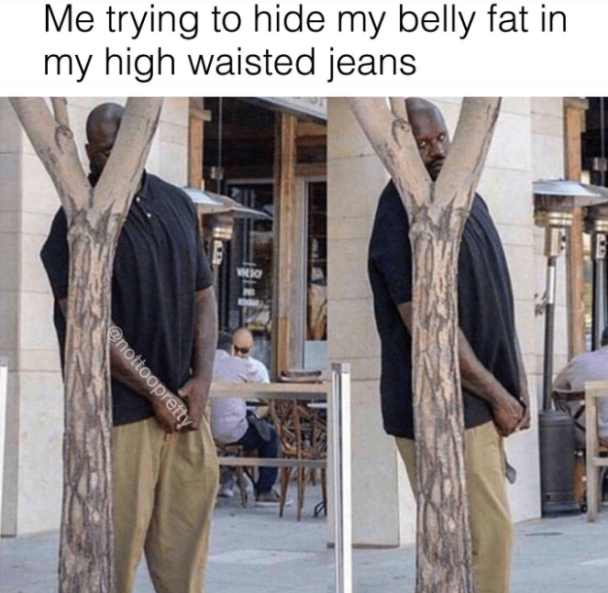 30+ Funny Foodie Memes For Everyone Not Worried About Losing Weight In 2024