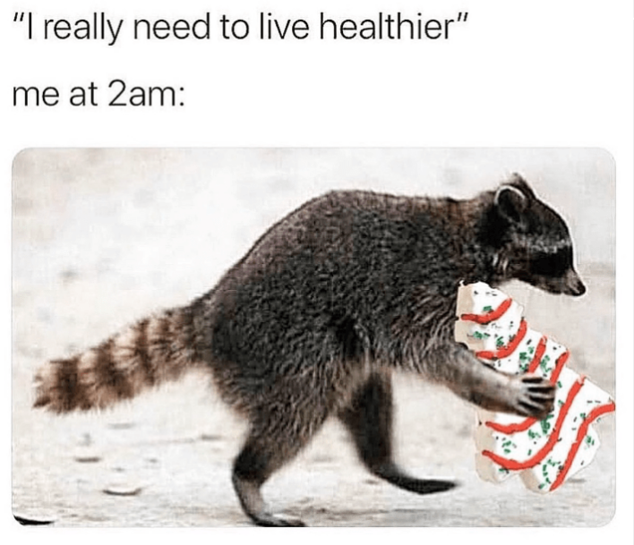 30+ Funny Foodie Memes For Everyone Not Worried About Losing Weight In 2024