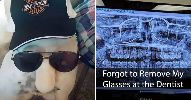 30+ Funny Glasses Pictures That Prove Life Looks Better Through A ...