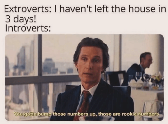 30 Funny Introvert Memes For Anyone With A Shy Soul In Their Life ...