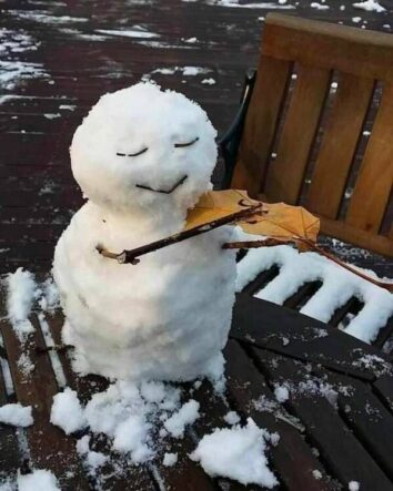 48 Funny Pictures To Catapult You Into The Weekend With Laughs And Good ...