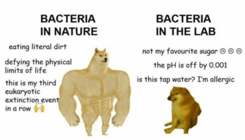 40 Hilarious Science Memes That Caused Humorous Reactions This Week ...