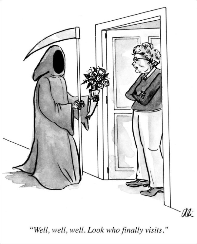 20+ Hilariously Clever Single-Panel Comics From Ali Solomon