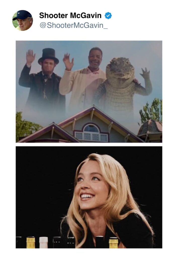 34 Funniest Sydney Sweeney 'Hot Ones' Tweet Memes Making The Rounds ...