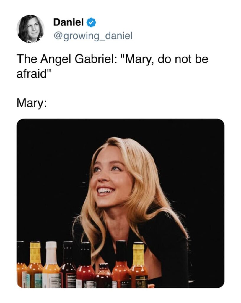 34 Funniest Sydney Sweeney 'Hot Ones' Tweet Memes Making The Rounds ...