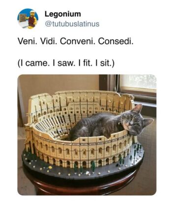 35 Funniest Tweets Of 2024 (So Far)