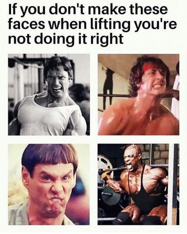 45 Funny Workout Memes Stacked, Racked, And Packed With Humor (January ...