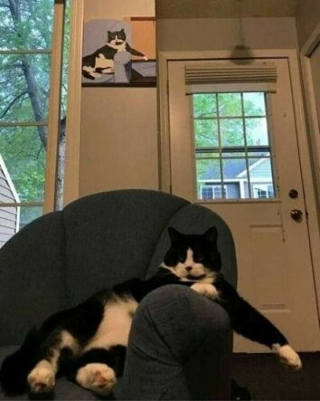 45 Hilariously Derpy Animal Pictures Guaranteed To Make Your Day 10% Better