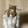 45 Hilariously Derpy Animal Pictures Guaranteed To Make Your Day 10% Better