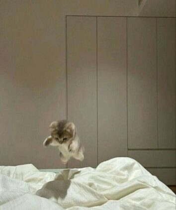 45 Hilariously Derpy Animal Pictures Guaranteed To Make Your Day 10% Better