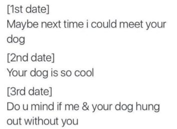 40 Funny Dog Memes For A Laugh-Filled Start To Your Week (January 29, 2024)