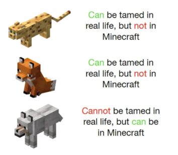 45 Creeper-Approved Minecraft Memes For Block-Busting Laughs (January ...