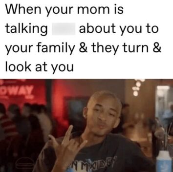 35+ Hilarious Family Memes You'll Love Even Though You Didn't Get To ...