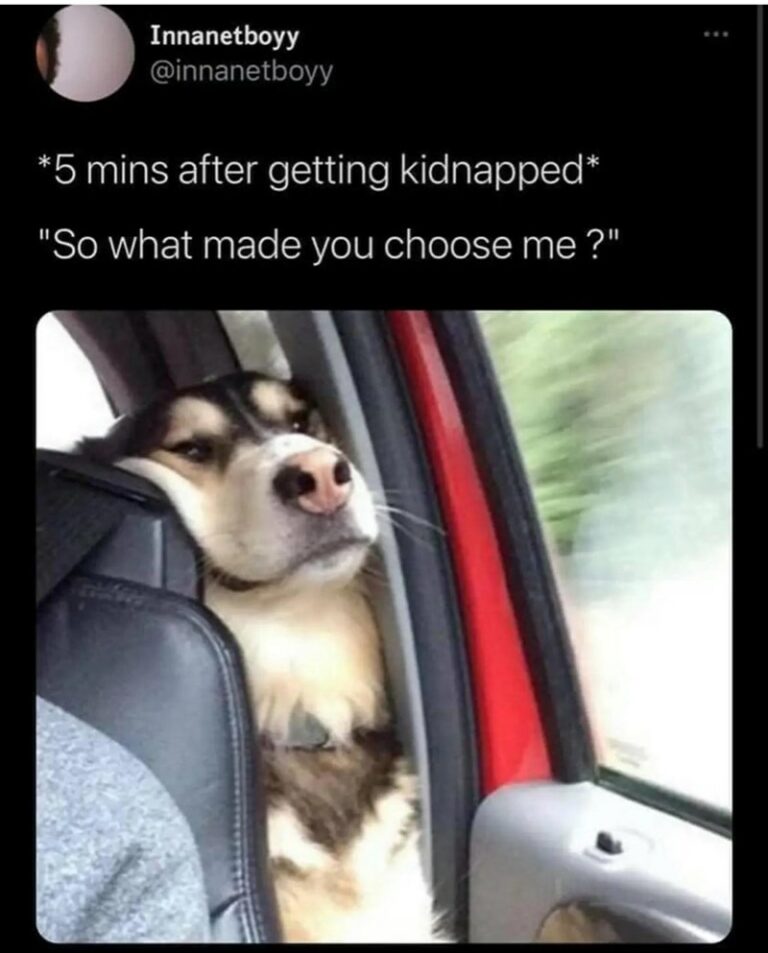 50 Random Funny Memes To Make Aficionados Of Fine Humor LOL Today ...