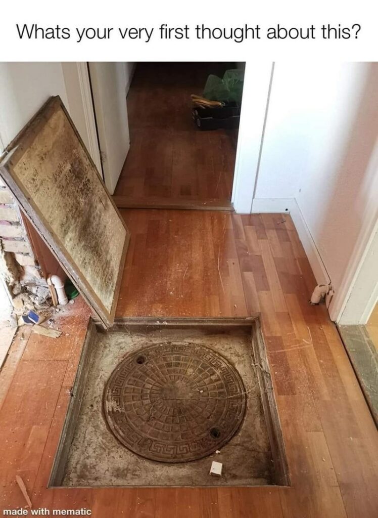 50 Random Funny Memes To Make Aficionados Of Fine Humor LOL Today ...