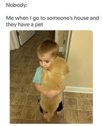 40 Hilariously Relatable Animal Memes To Get You Over The Midweek Hump ...