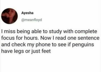 50 Funny "Serotonin Memes" That Might Just Bless Your Mental Health