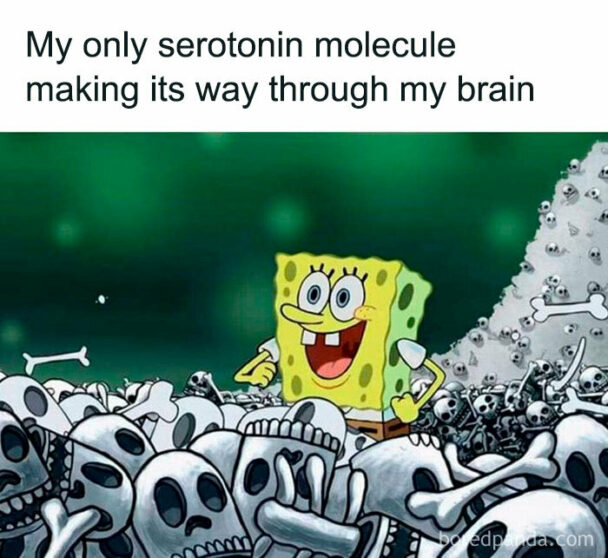 50 Funny "Serotonin Memes" That Might Just Bless Your Mental Health