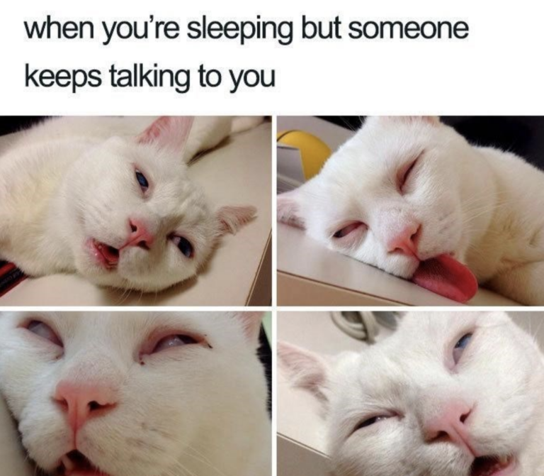 35 Sleep Memes For Those Of Us Who Need To Be Put To Bed Like A Little Kid