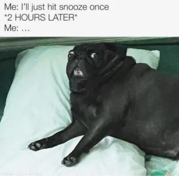 35 Sleep Memes For Those Of Us Who Need To Be Put To Bed Like A Little Kid