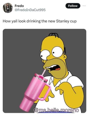 20+ Funny Stanley Cup Memes To Keep You Sipping And Smirking Through ...