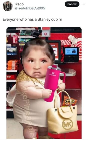 20+ Funny Stanley Cup Memes To Keep You Sipping And Smirking Through ...