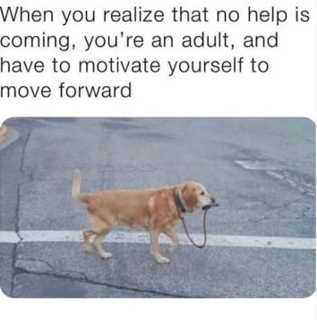 45 Best Dog Memes To Instantly Brighten Your Day And Set A Pawsome Tone ...