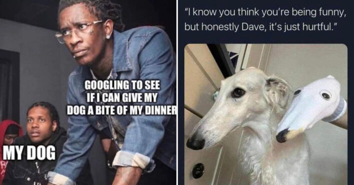 45 Best Dog Memes To Start The Week Right (February 26, 2024)
