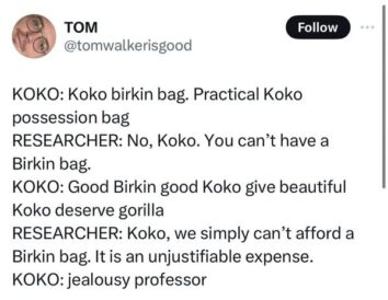 45+ Funniest And Wildest Tweets People Are Saying Belong In The Twitter ...