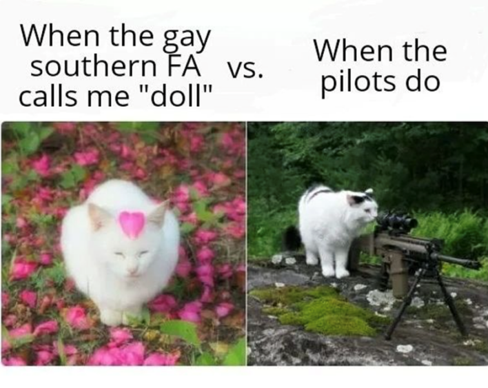 35 Flight Attendant Memes For Fed-Up Stews Taking No Lip From Passengers