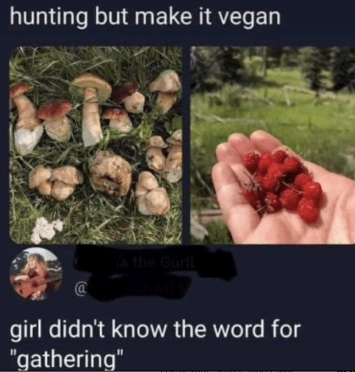 30+ Foraging Memes That Made Us Want To Go Outside And Find A Mushroom