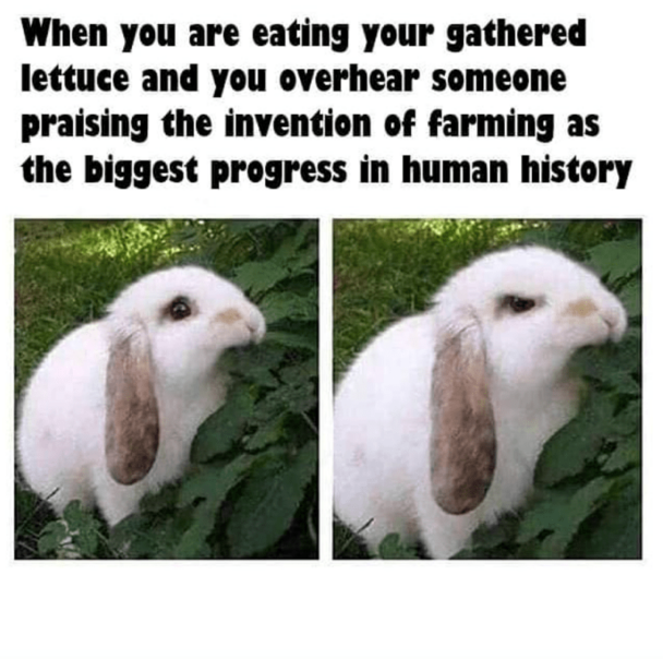 30+ Foraging Memes That Made Us Want To Go Outside And Find A Mushroom