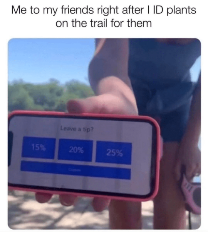 30+ Foraging Memes That Made Us Want To Go Outside And Find A Mushroom