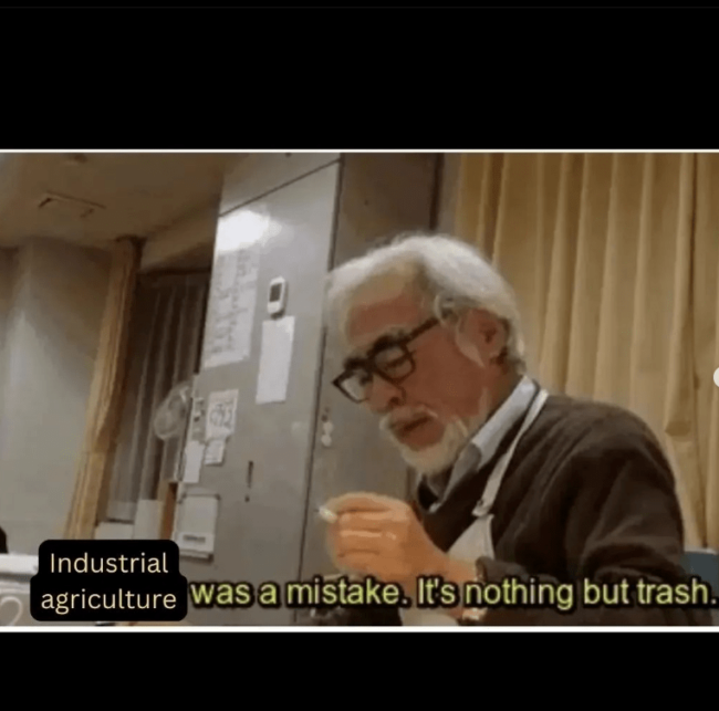 30+ Foraging Memes That Made Us Want To Go Outside And Find A Mushroom