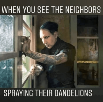 30+ Foraging Memes That Made Us Want To Go Outside And Find A Mushroom