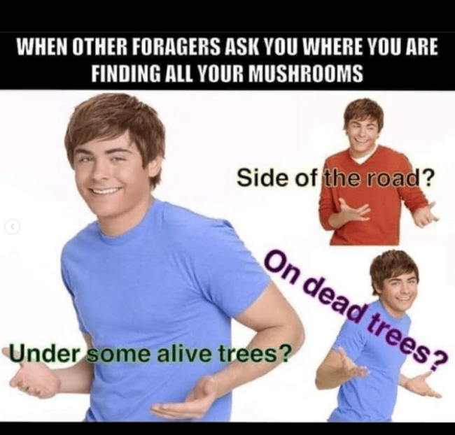 30+ Foraging Memes That Made Us Want To Go Outside And Find A Mushroom