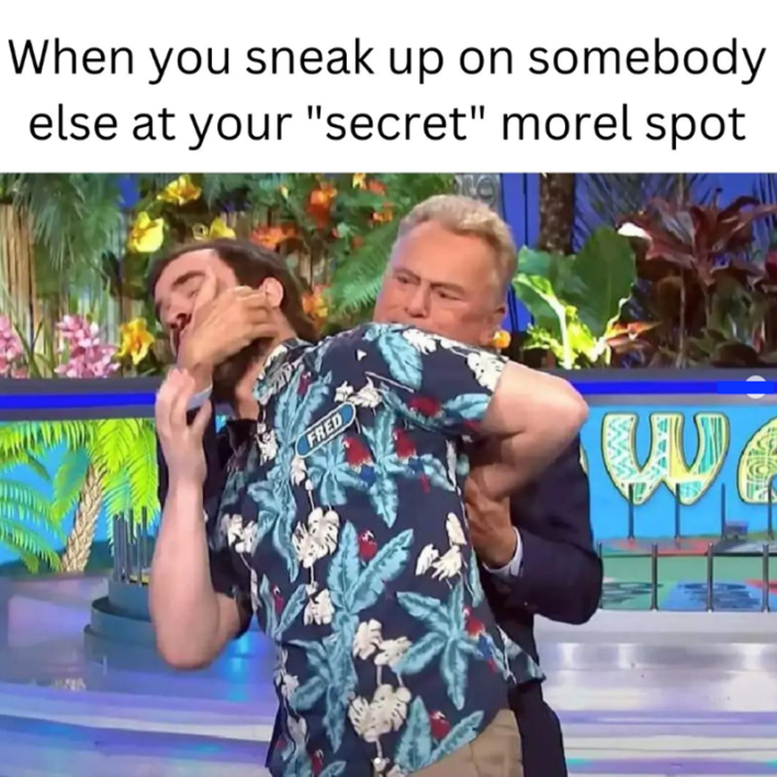 30+ Foraging Memes That Made Us Want To Go Outside And Find A Mushroom