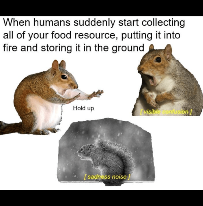 30+ Foraging Memes That Made Us Want To Go Outside And Find A Mushroom