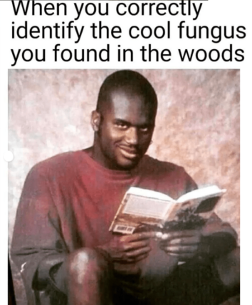 30+ Foraging Memes That Made Us Want To Go Outside And Find A Mushroom