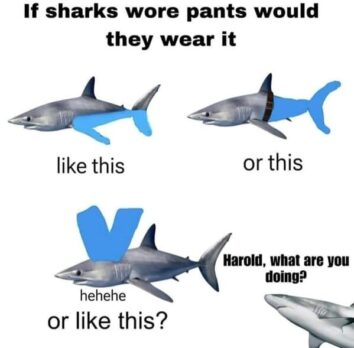 40 Of The Funniest Animal Memes That Made Us Smile This Week (February ...