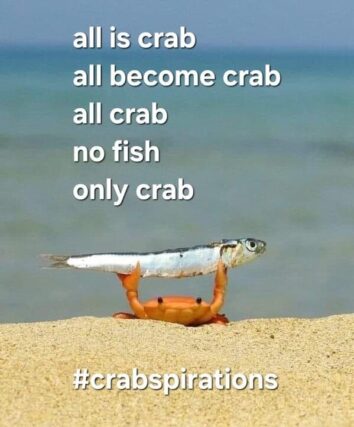 40 Of The Funniest Animal Memes That Made Us Smile This Week (February ...